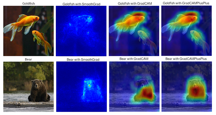 Weakly Supervised Learning Unlocks Medical Imaging Insights | Mouser